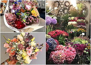 3 Best Florists in Cologne - Expert Recommendations