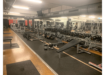 3 Best Fitness studios in Düsseldorf, Germany - Expert Recommendations