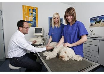 Die 3 besten Tierkliniken in Dortmund - Expertenempfehlungen